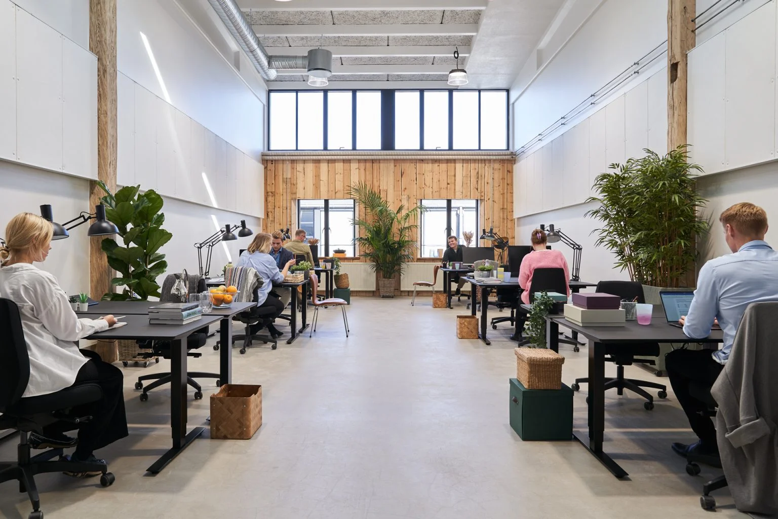 Co-working office in Aarhus | See prices and locations